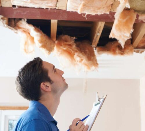 Building Defect Reports - Owner Inspections